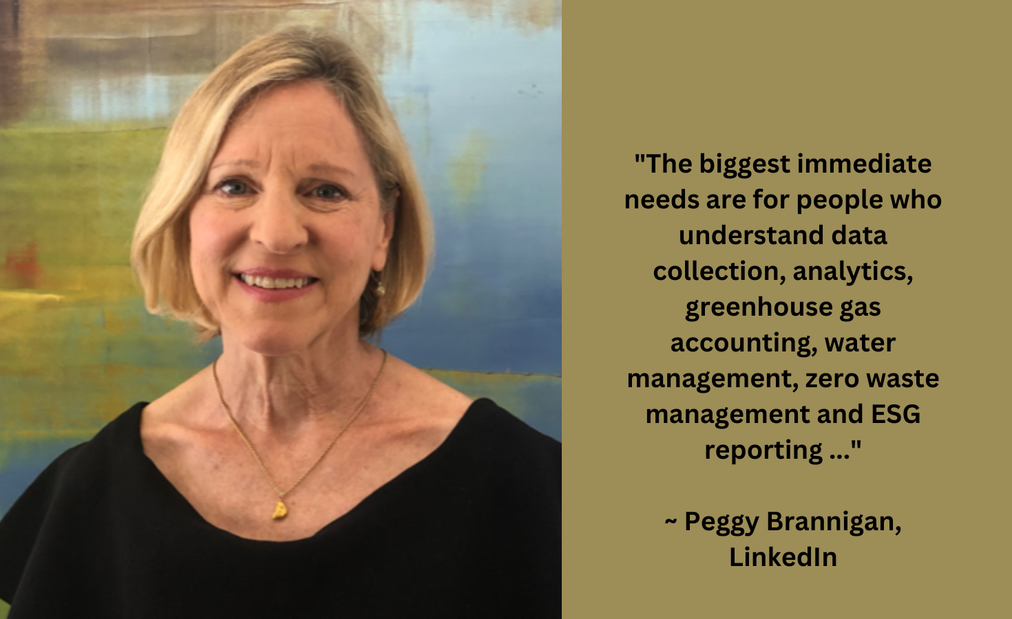 LinkedIn’s head of sustainability on unlocking its ‘superpowers’ - ES ...