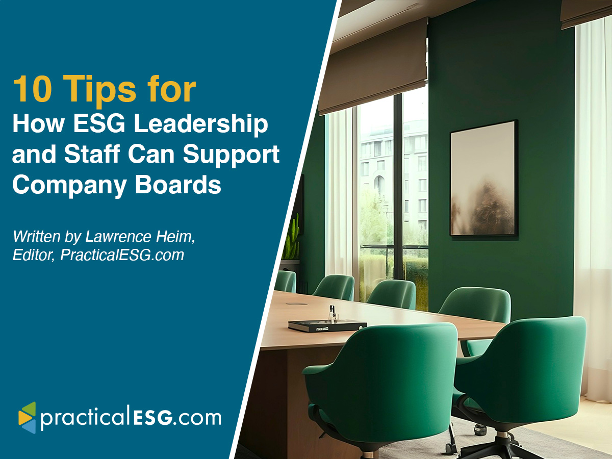 10 Tips for How ESG Leadership and Staff Can Support Company Boards ...