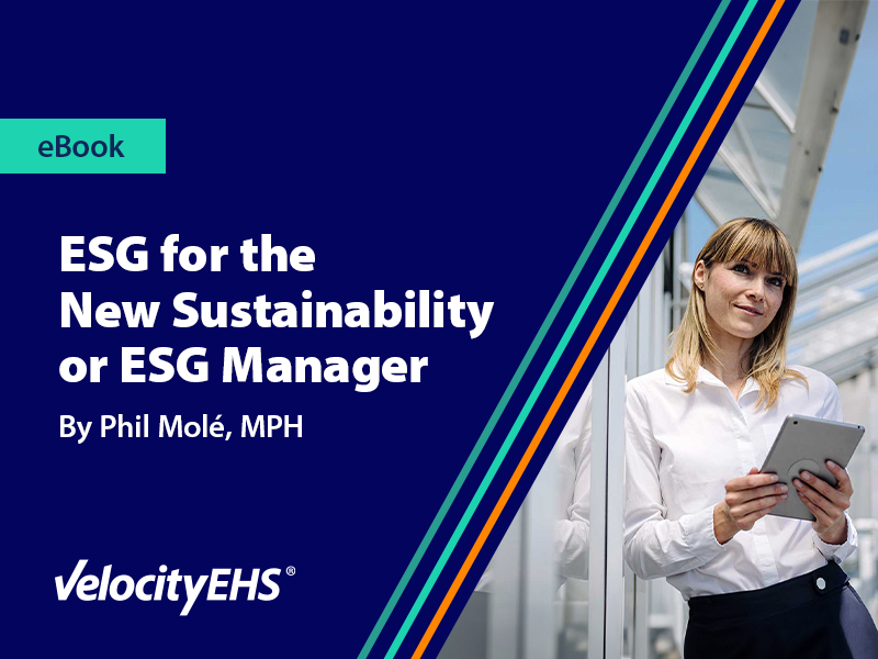 ESG for the New Sustainability or ESG Manager - ES Management