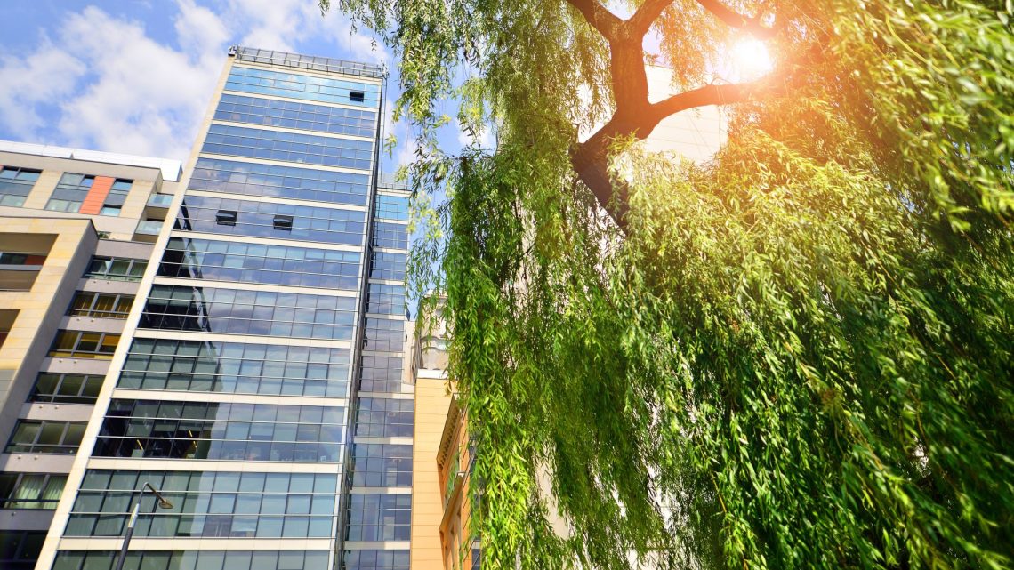 Real estate decarbonization is moving to the building level - ES Management